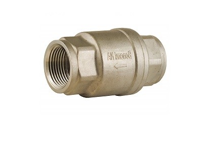 Spring Check Valve